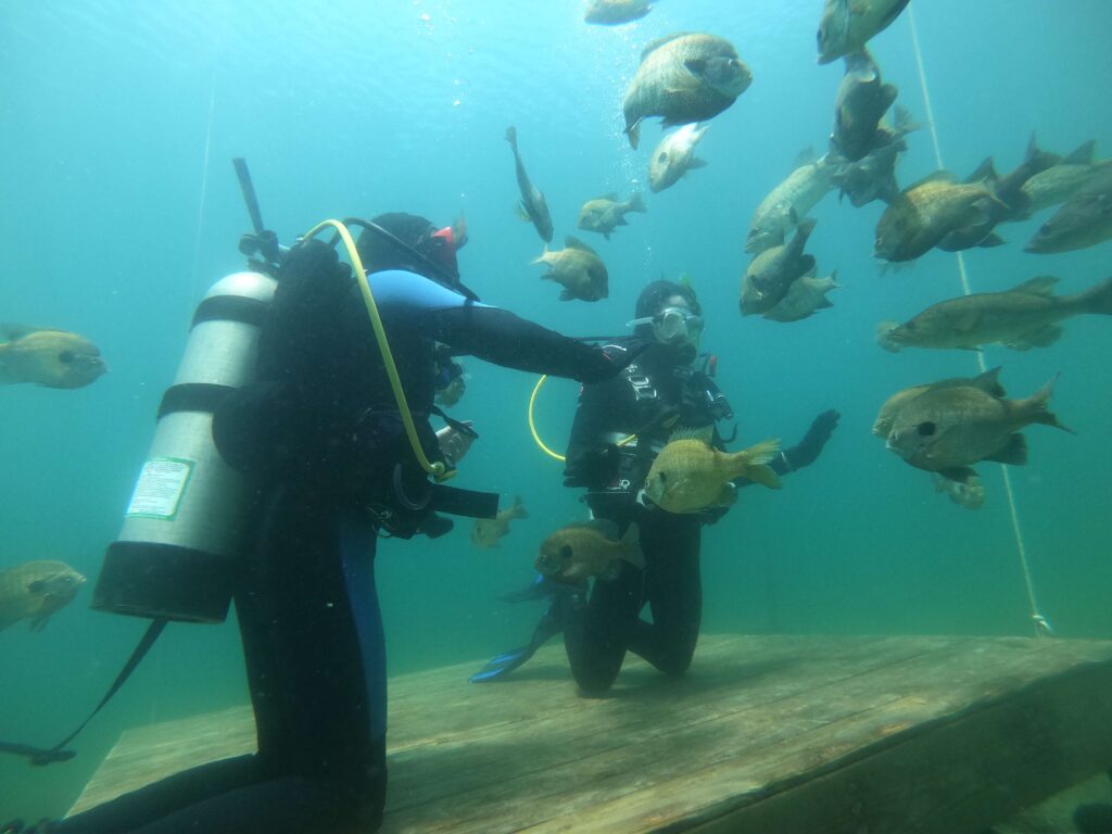 Become a certified scuba diver on vacation - Here's How - Diving Notes