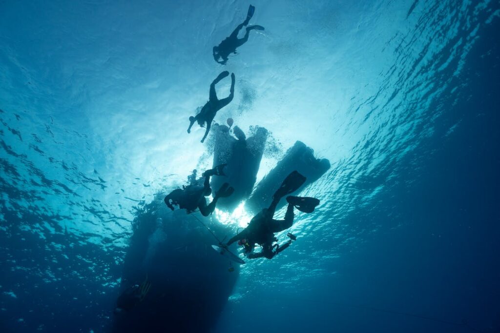 Marine Life Etiquette: A Guide for New Divers - Diving Notes