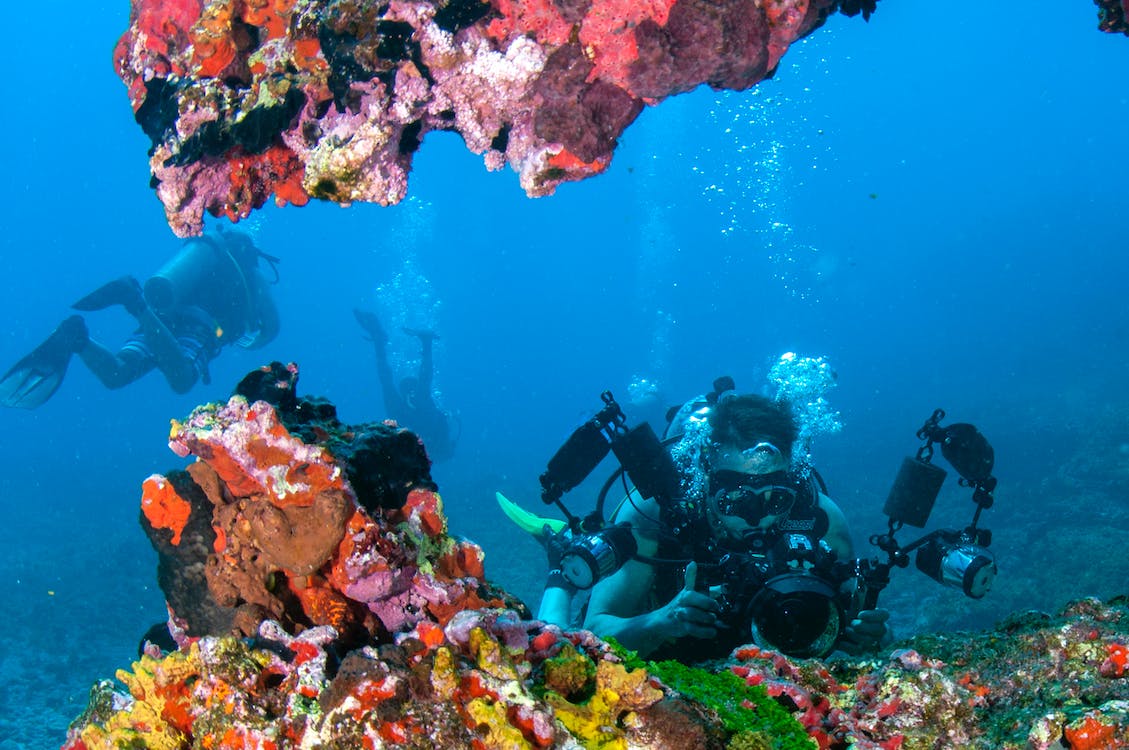 Marine Life Etiquette: A Guide for New Divers - Diving Notes
