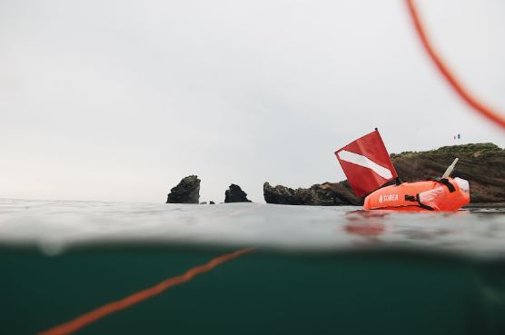 Shore Diving 101: Your First Step to Ocean Adventures! - Diving Notes
