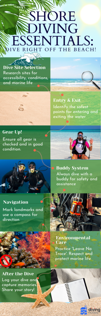 Shore Diving 101: Your First Step to Ocean Adventures! - Diving Notes