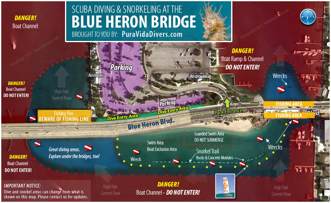 Exploring the Blue Heron Bridge for a Unforgettable Diving Experience ...
