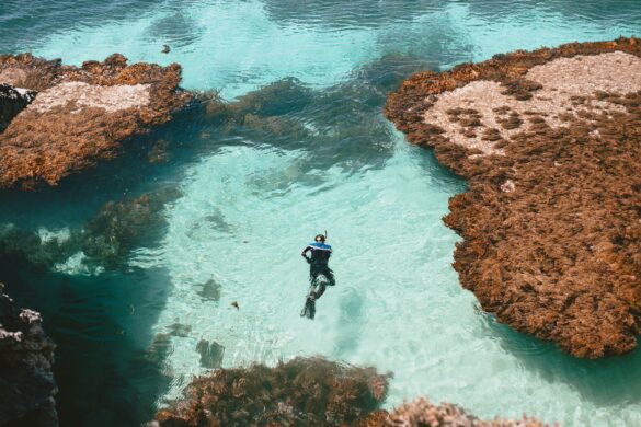 Do You Need to Know How to Swim for Scuba Diving? - Diving Notes