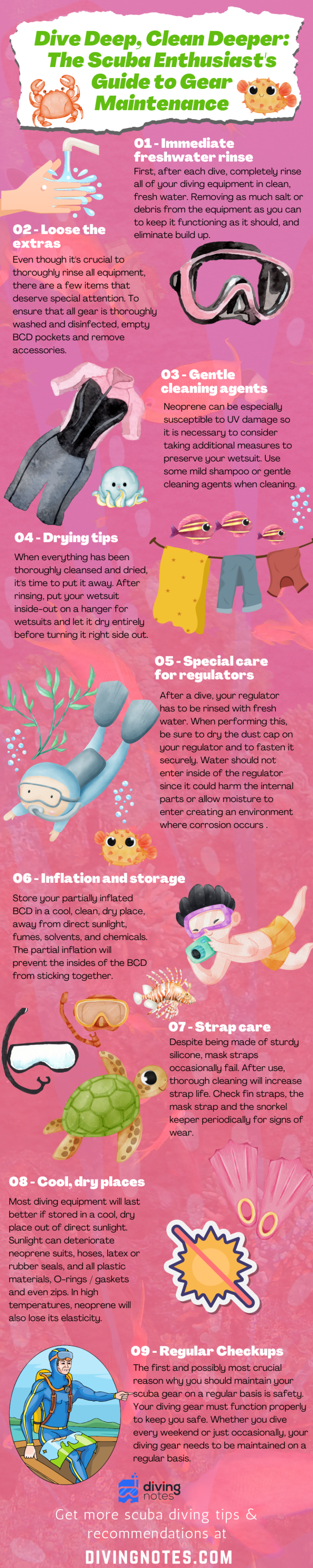 Dive Deep, Clean Deeper: The Scuba Enthusiast's Guide to Gear ...