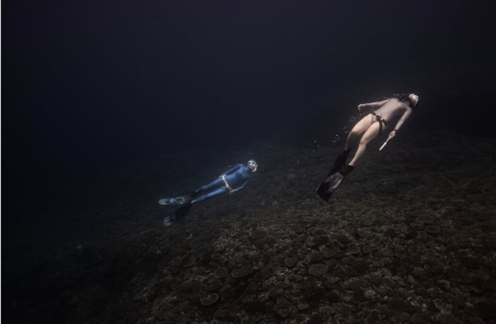 Scuba Diving at Night Tips - Don't Get Lost in the Dark - Diving Notes
