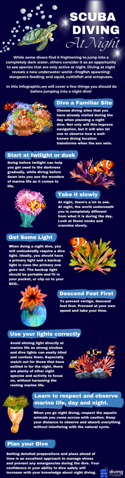 Scuba Diving at Night Tips - Don't Get Lost in the Dark - Diving Notes